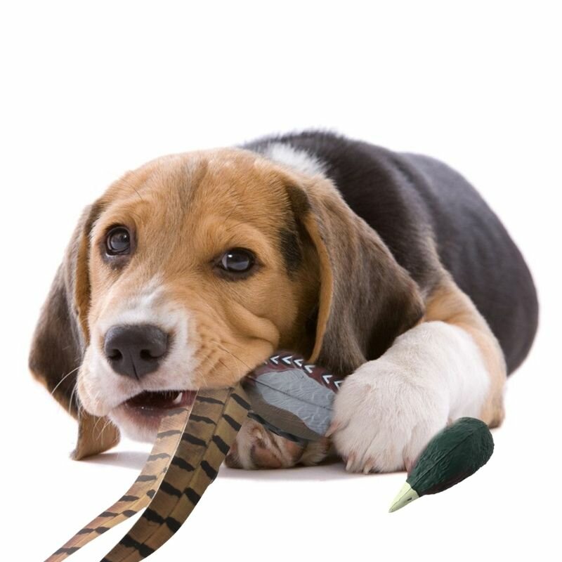 Игрушка для дрессировки фазана собак