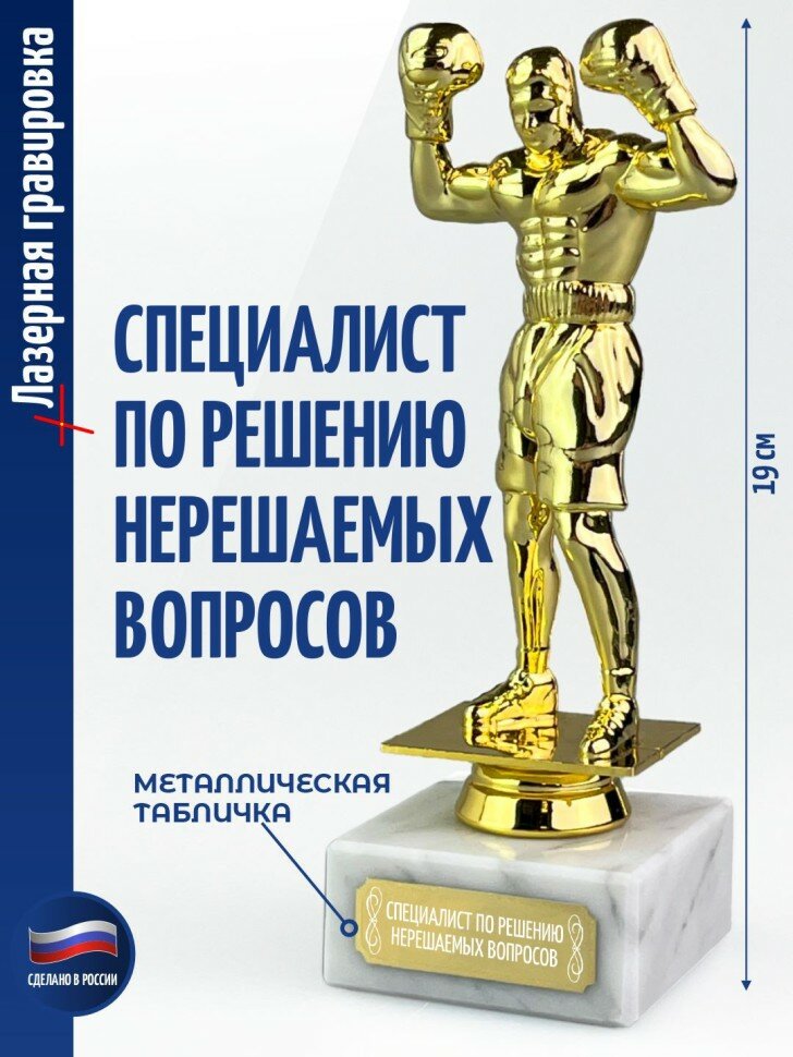 Статуэтка Бокс "специалист ПО решению нерешаемых вопросов" (19 см)
