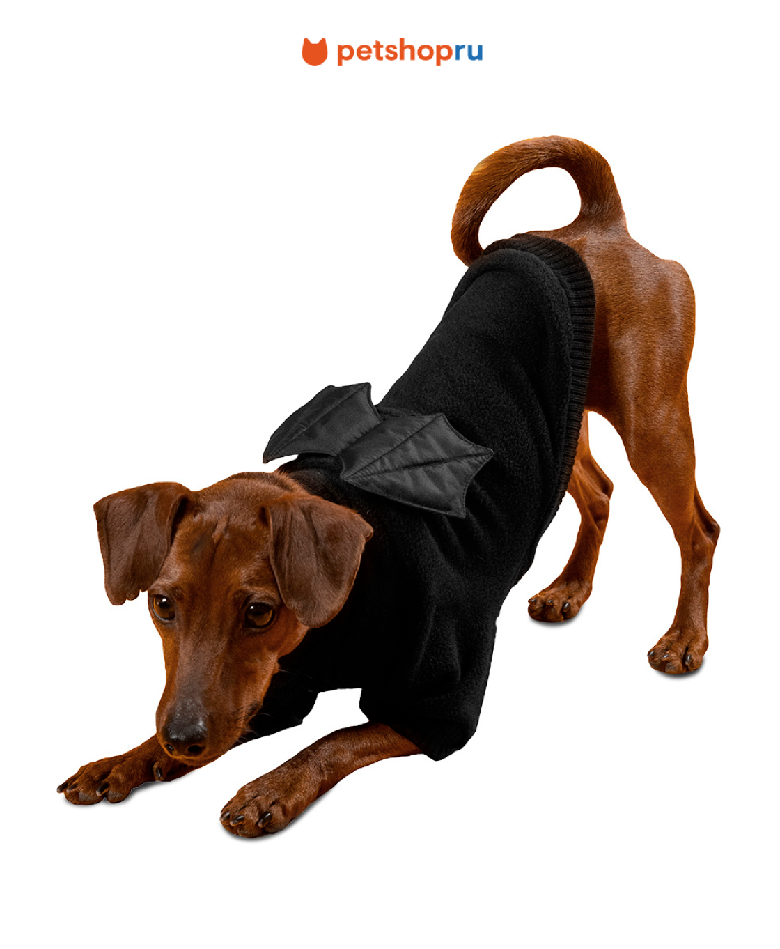 Tappi одежда Толстовка "Дракула"для собак, черный, S, спинка 25 см
