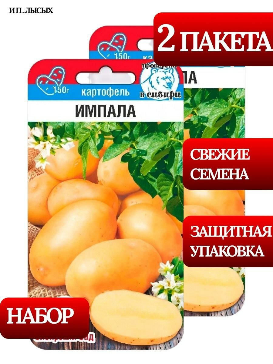 Семена Картофель "Импала"