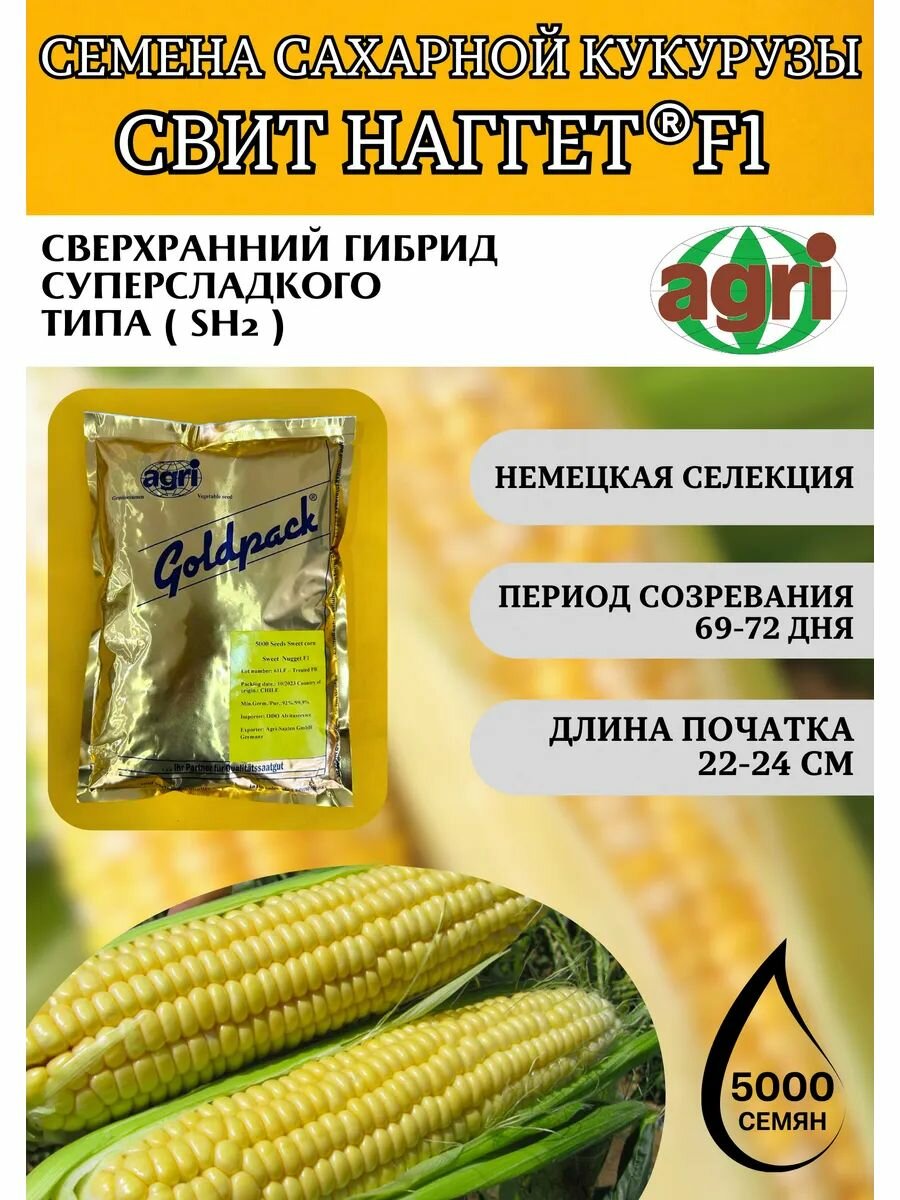 Семена кукурузы Свит Наггет F1 5000 семян Agri Saaten, профессиональные семена