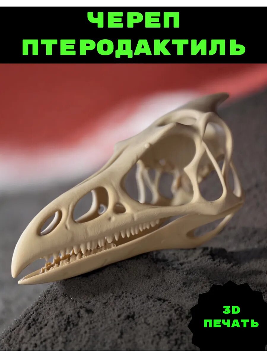 Фигурка Череп Птеродактиль цвет кость 3D печать динозавр готическая