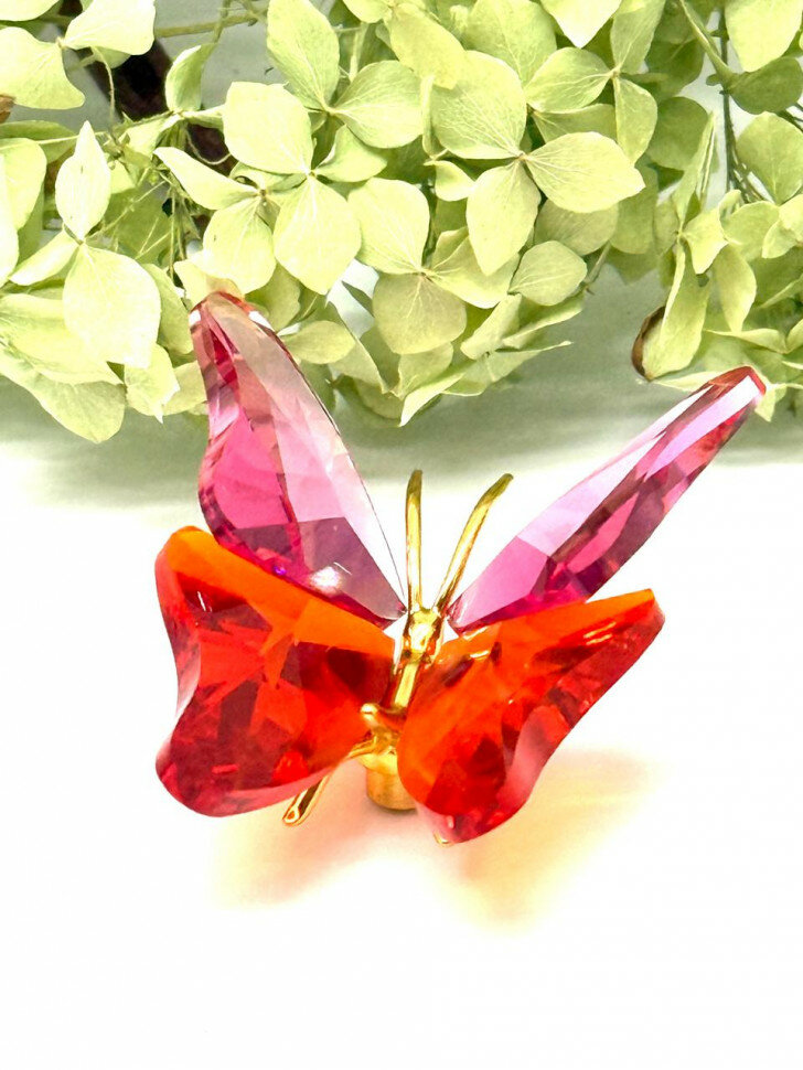 Хрустальная бабочка Swarovski "Paradise Insect Abala"