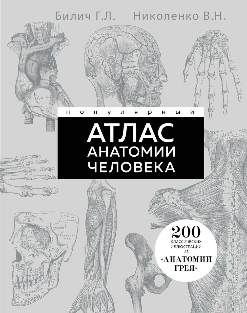 Популярный атлас анатомии человека. 200 классических иллюстраций из "Анатомии Грея". Билич Г. Л, Николенко В. Н. ЭКСМО