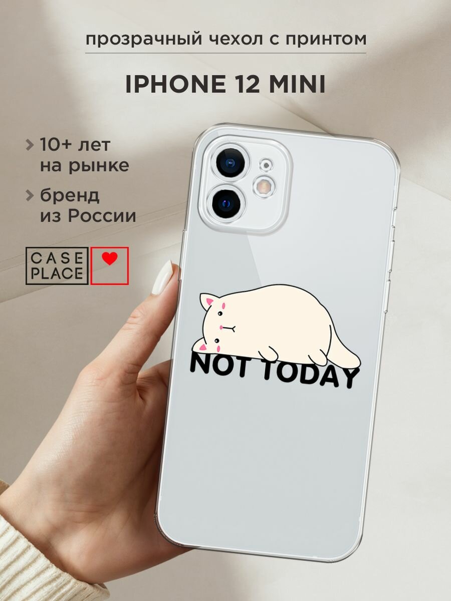 Чехол на Apple iPhone 12 mini / Айфон 12 Мини с принтом "Cat not today", прозрачный