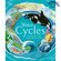 Water Cycles (DK Life Cycles) Hardcover – August 17, 2021 by DK (Author)