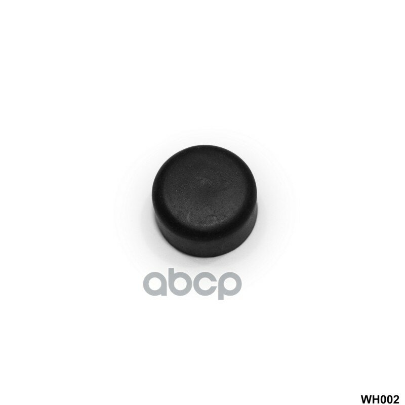 Колпачок поводка стеклоочистителя FORD Focus II, III (04-15) AMR арт. WH002