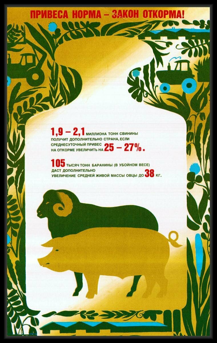 Плакат СССР свиноводство мясокомбинат; Антиквариат 1970 г; Декор настенный винтажный 27/43 см.