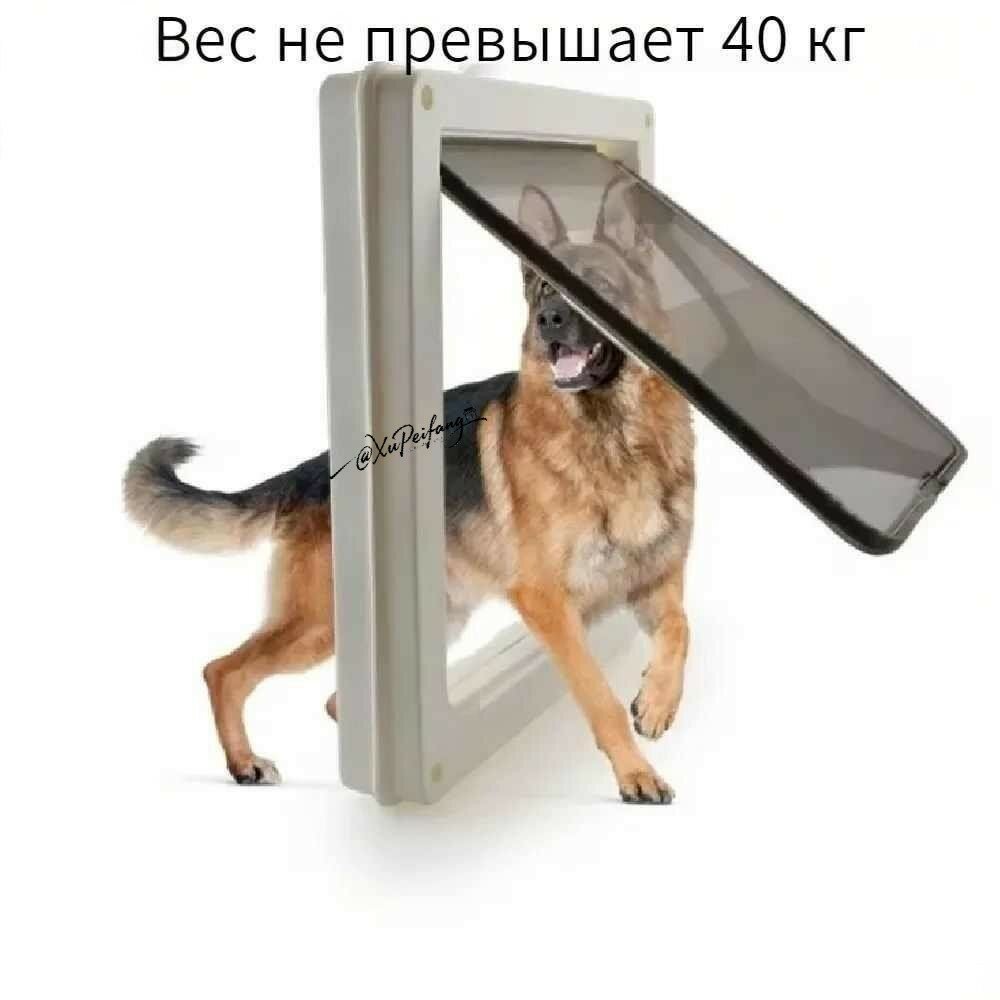 Домашние животные могут свободно входить и выходить через дверь, кошачью дверь, собачью дверь