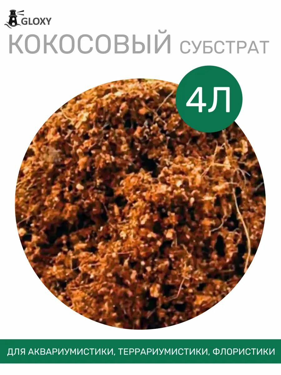 Грунт для флорариума GLOXY Кокосовый субстрат, 4л