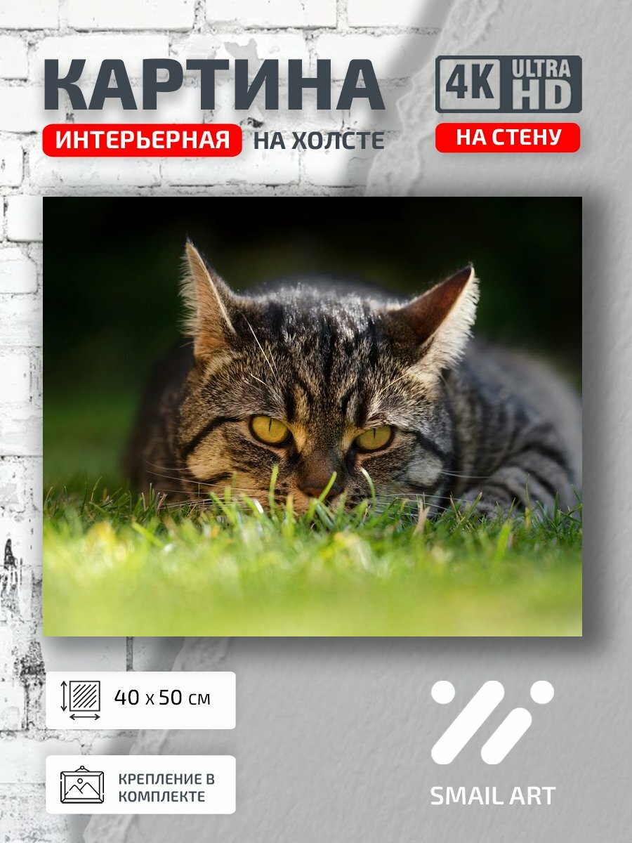 Картина на холсте интерьерная 40 на 50 на стену Трава Animal для спальни animal style декор