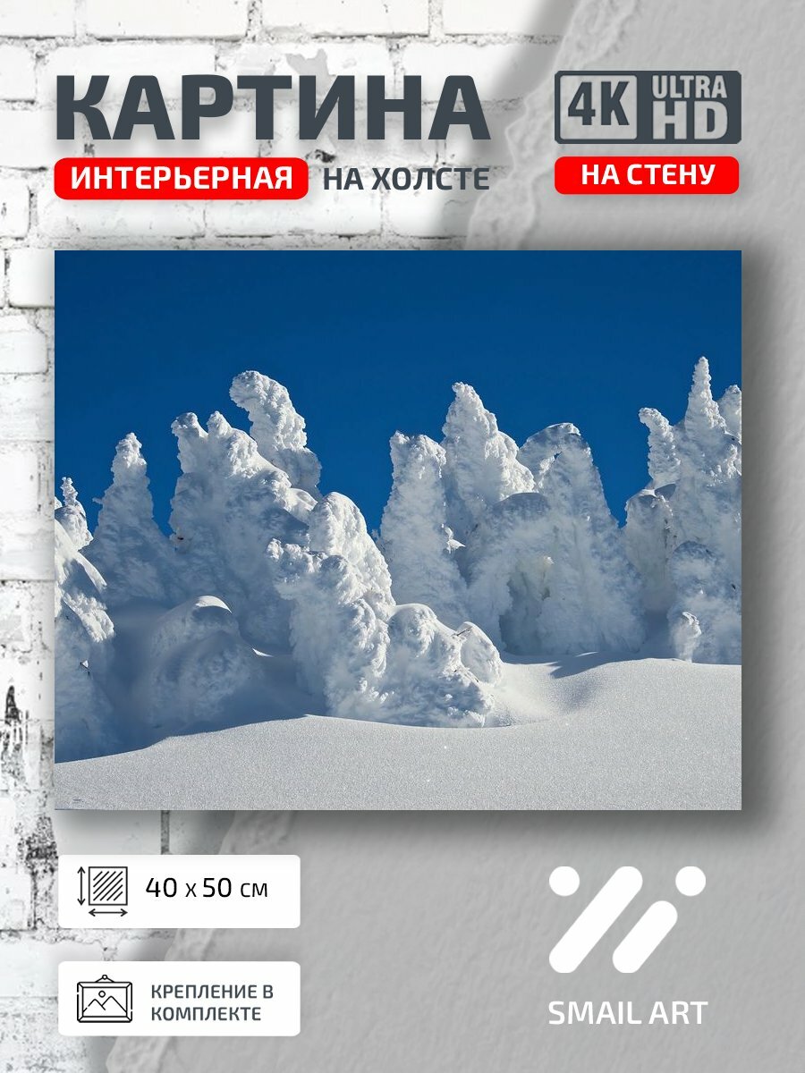 Картина на холсте интерьерная 40 на 50 на стену Зима Landscape для гостиной пейзаж интерьер