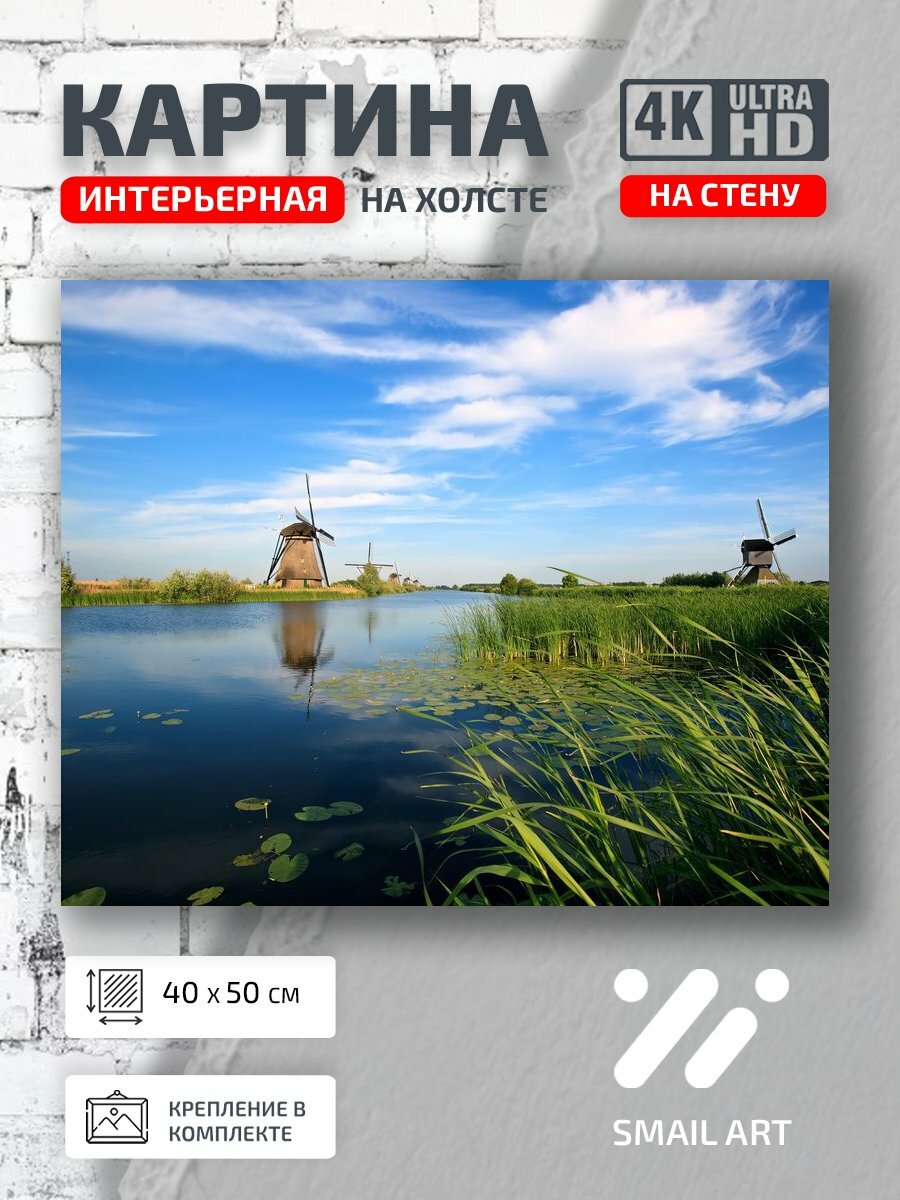 Картина на холсте интерьерная 40 на 50 на стену Кувшинки Landscape для кафе пейзаж интерьер