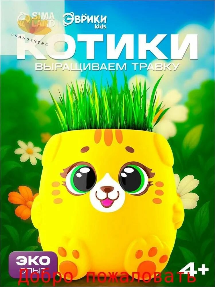 Опыты и эксперименты для детей, "Котики. Выращиваем травку", детский набор для выращивания растений