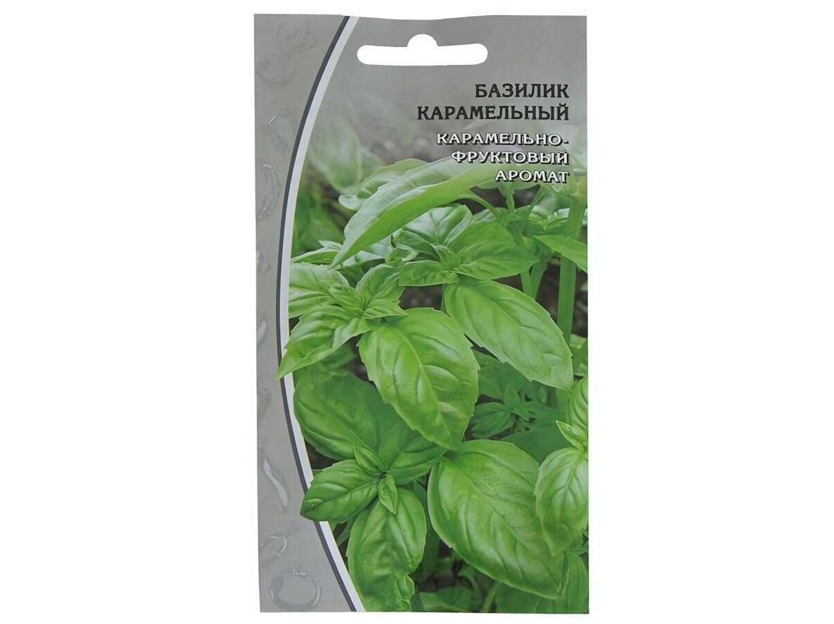 Базилик Карамельный, среднеспелый, 0,3 г, упаковка 10 шт, ароматный зелень для кухни