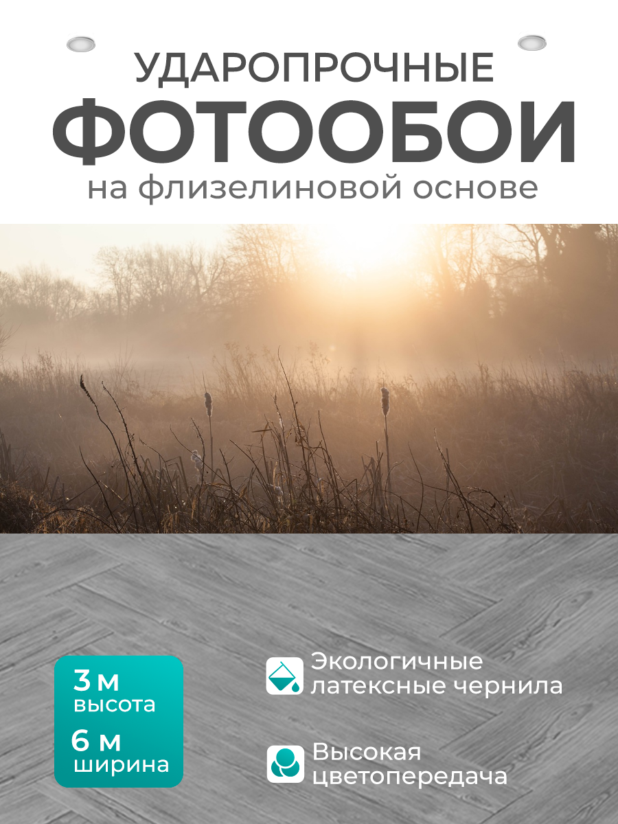 Фотообои моющиеся ударопрочные "Туман, утро, пейзаж" 600x300 см. флизелиновые на стену