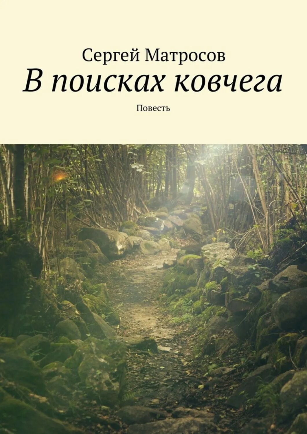 В поисках ковчега [Цифровая книга]