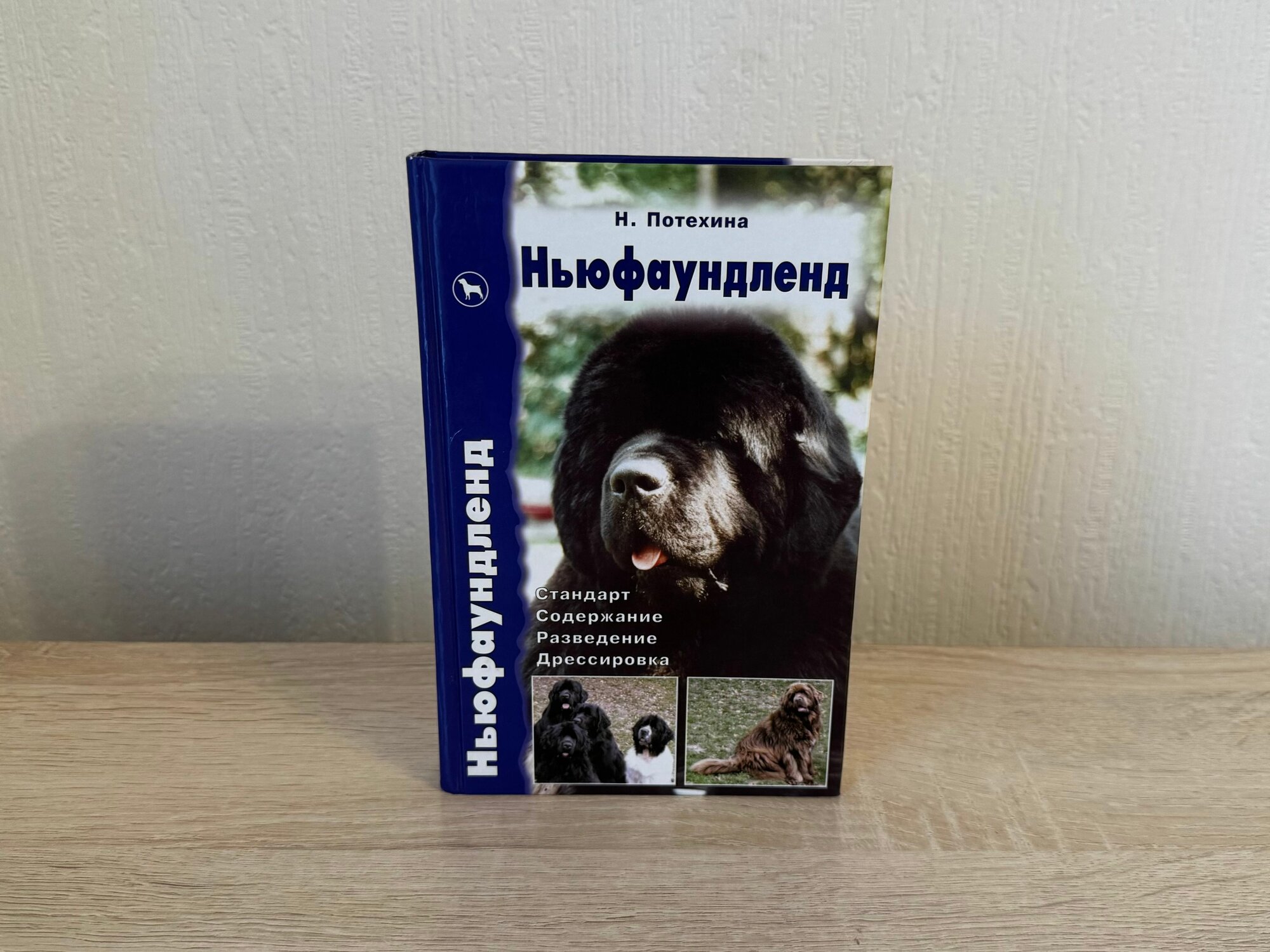 Ньюфаундленд, 2004 г