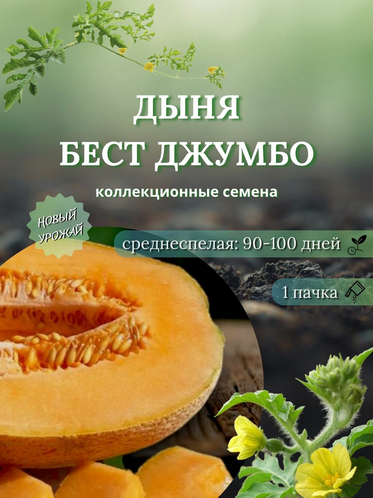 Дыня Бест Джумбо, 10 семян в 1 пачке