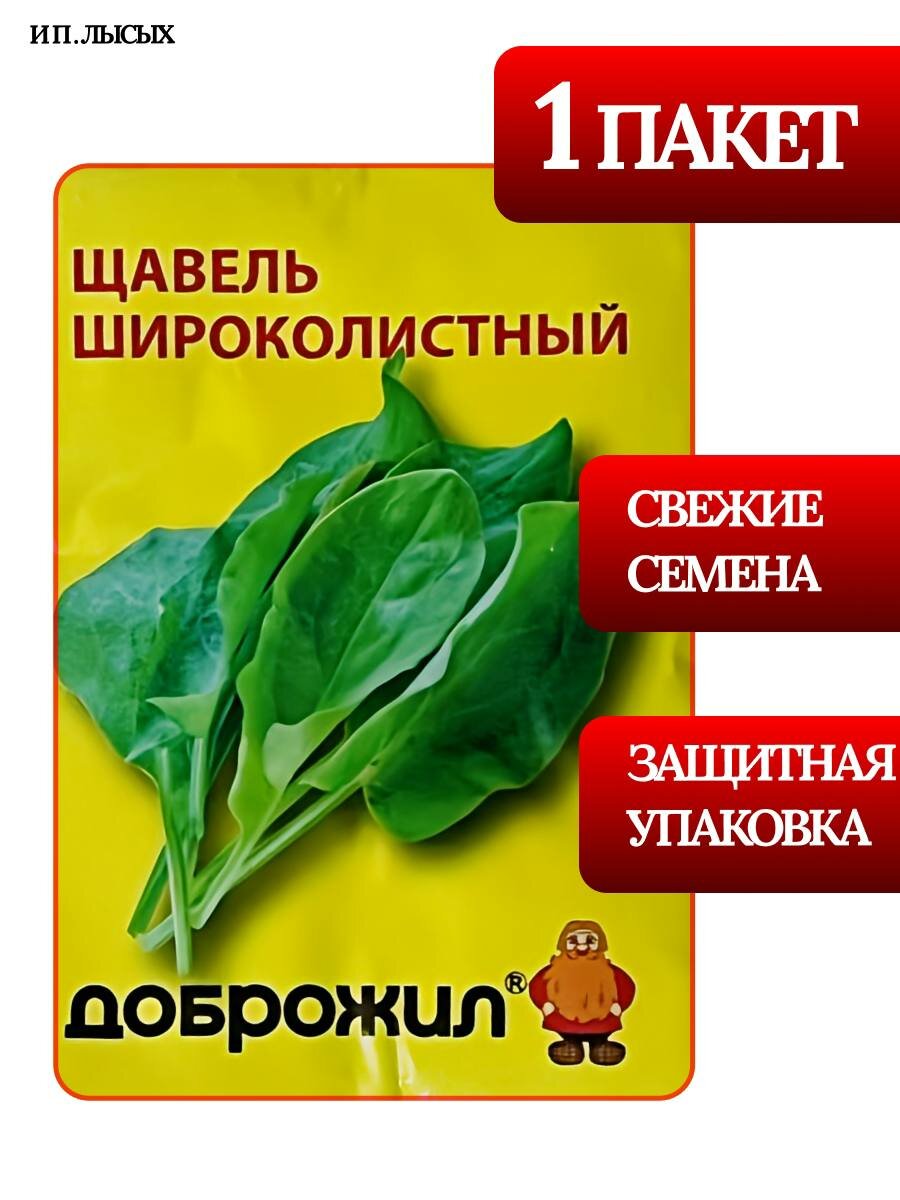 Семена Щавель "Широколистный"
