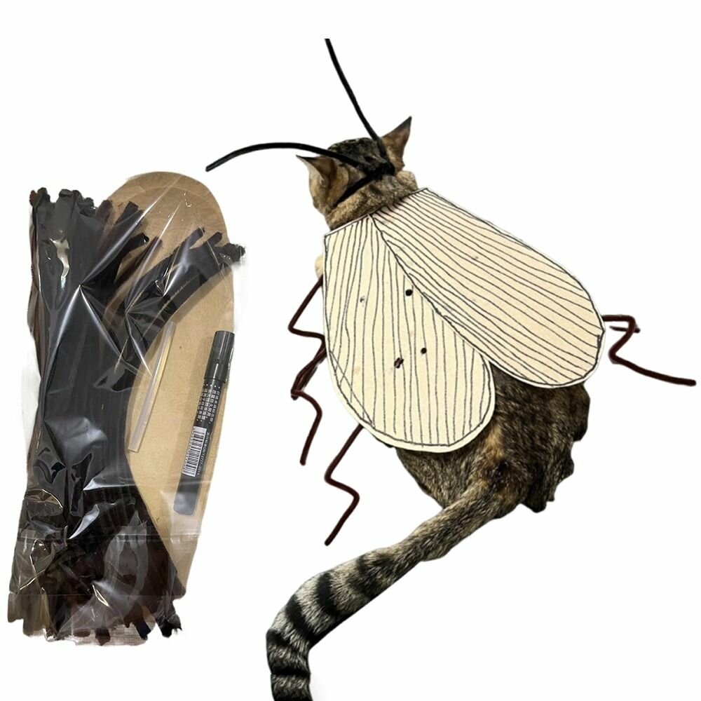 Костюм кота-косплея таракана