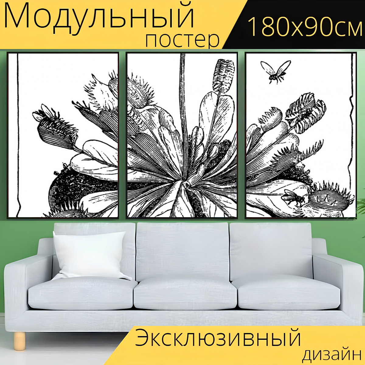 Модульный постер "Клипарт Венерина мухоловка Венерина мухоловка плотоядное растение клипарт винтажное искусство старый античный." 180 x 90 см. для интерьера на стену в тубусе