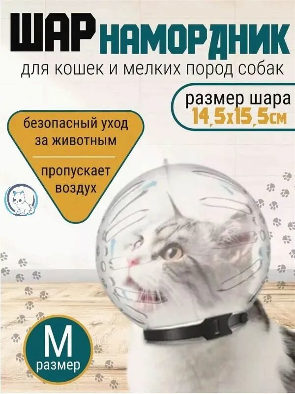 Космический шлем для кошек, прозрачный защитный намордник против царапин