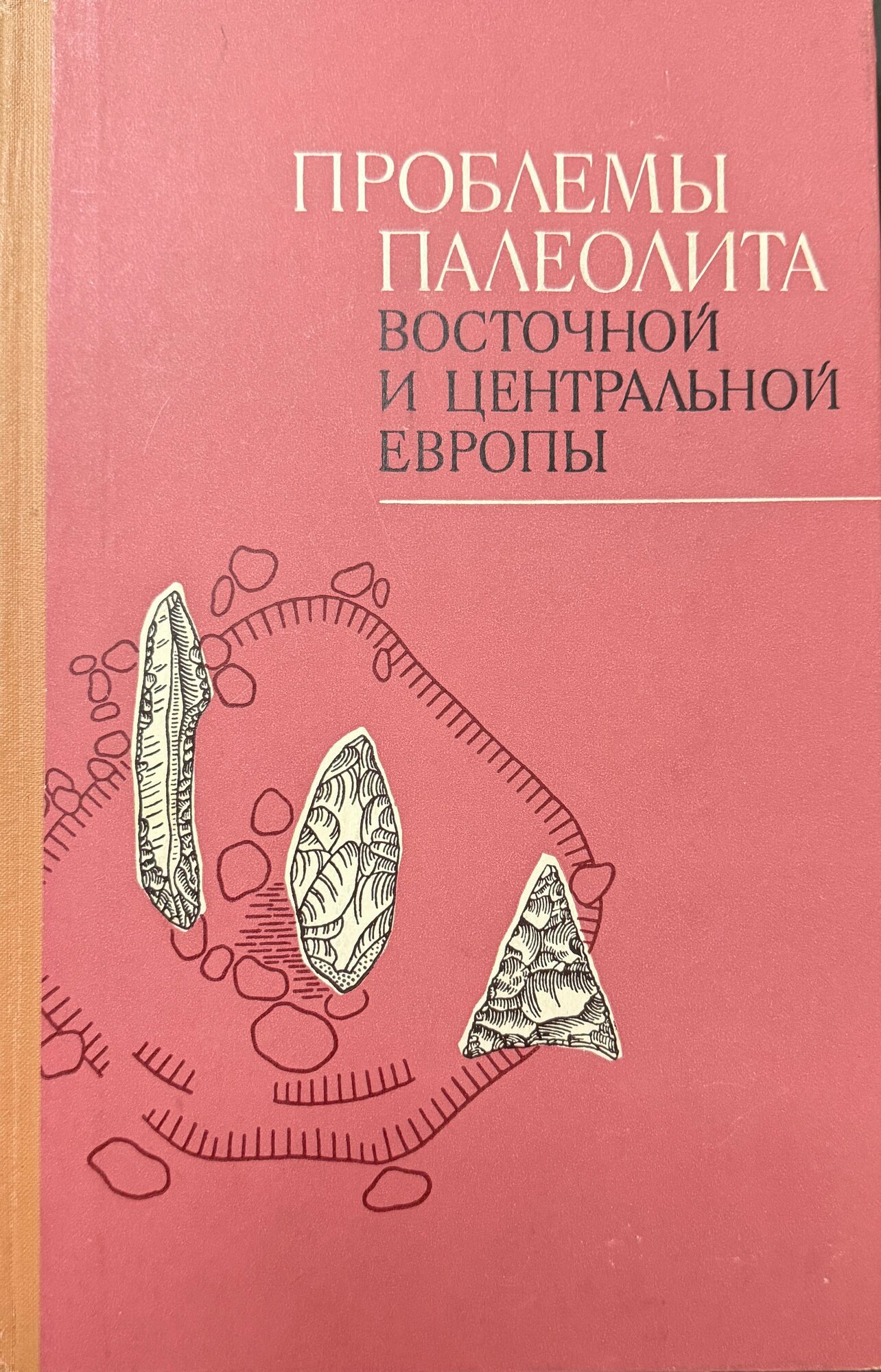 Проблемы палеолита Восточной и Центральной Европы