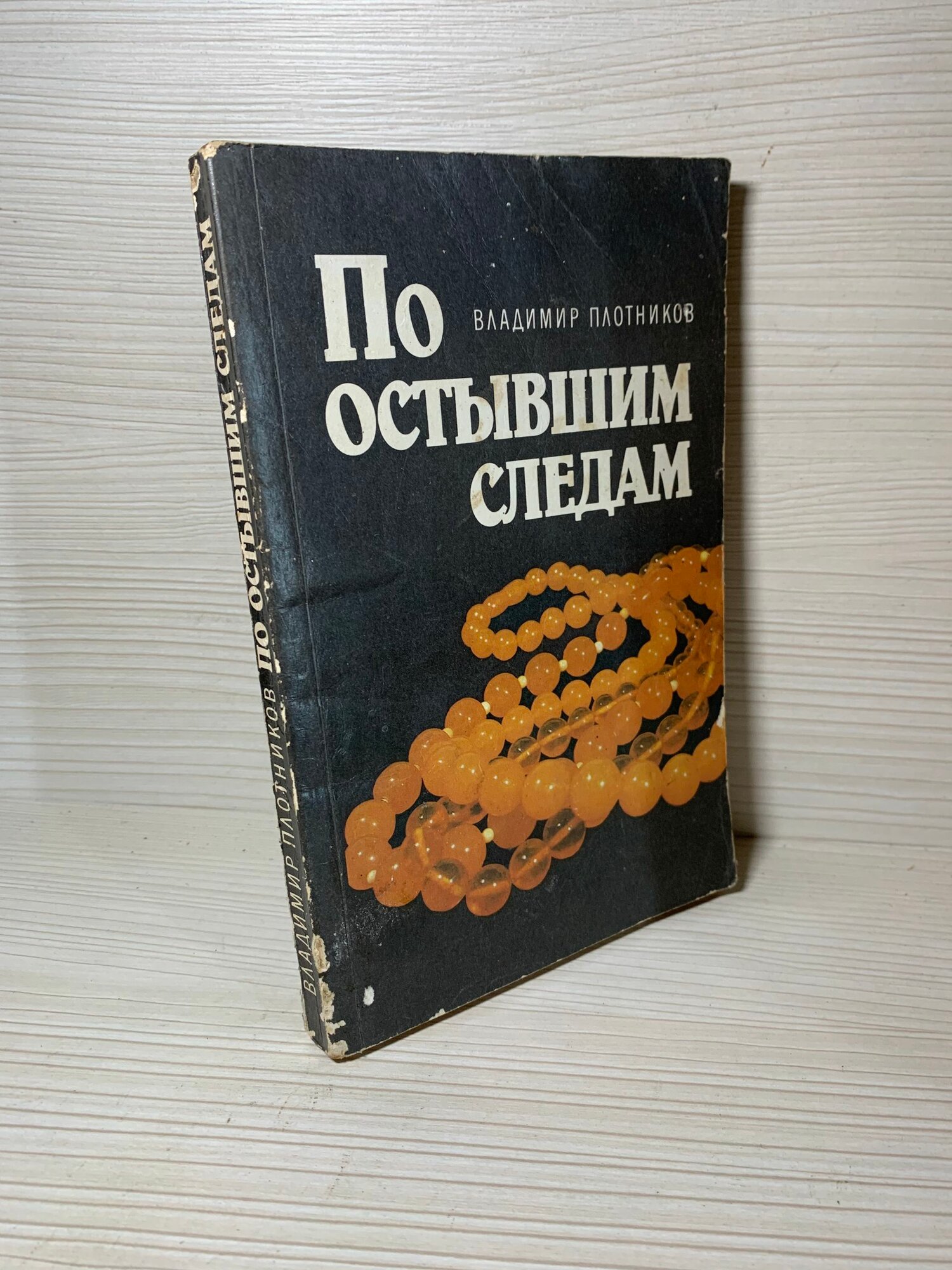 По остывшим следам. Записки следователя Плетнева