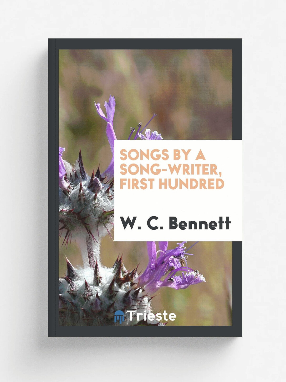 Songs by a Song-Writer, First Hundred