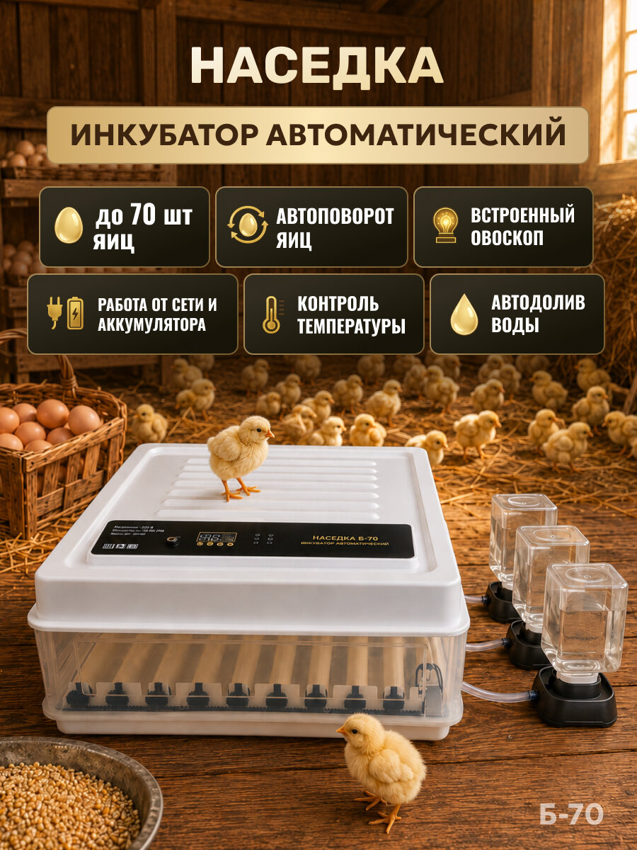 Инкубатор для яиц автоматический Наседка Б-70 с терморегулятором, овоскопом, автоповоротом, 220В/12В