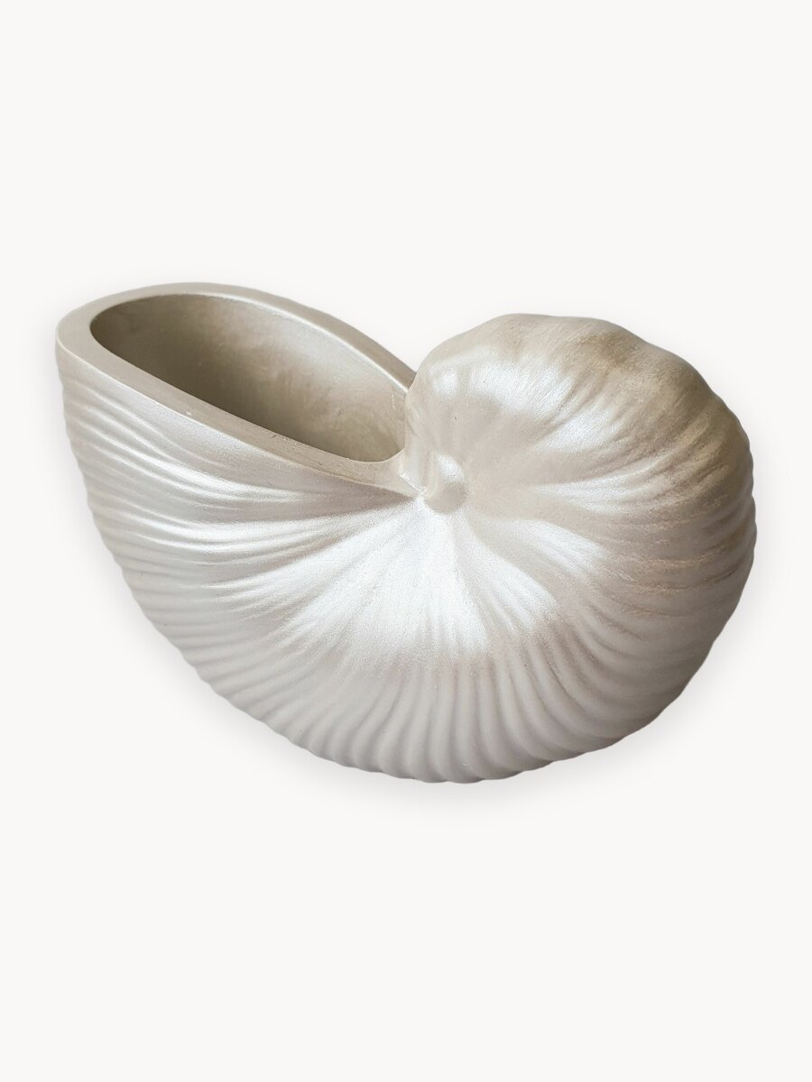 Шкатулка "Ракушка Наутилус", гипс, фигурная, для украшений, длина 13см, ширина 7,5см