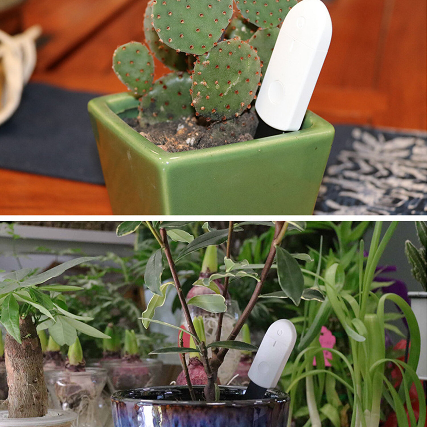 Электронный гигрометр для измерения влажности почвы в саду