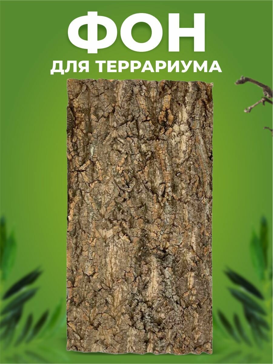 Фон для террариума