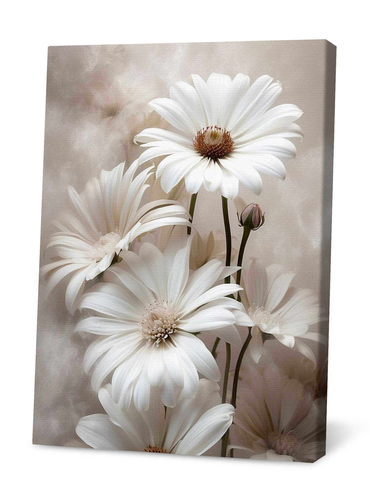 Картина на холсте Цветы ромашки, 30х40см, на подрамнике, DeFine