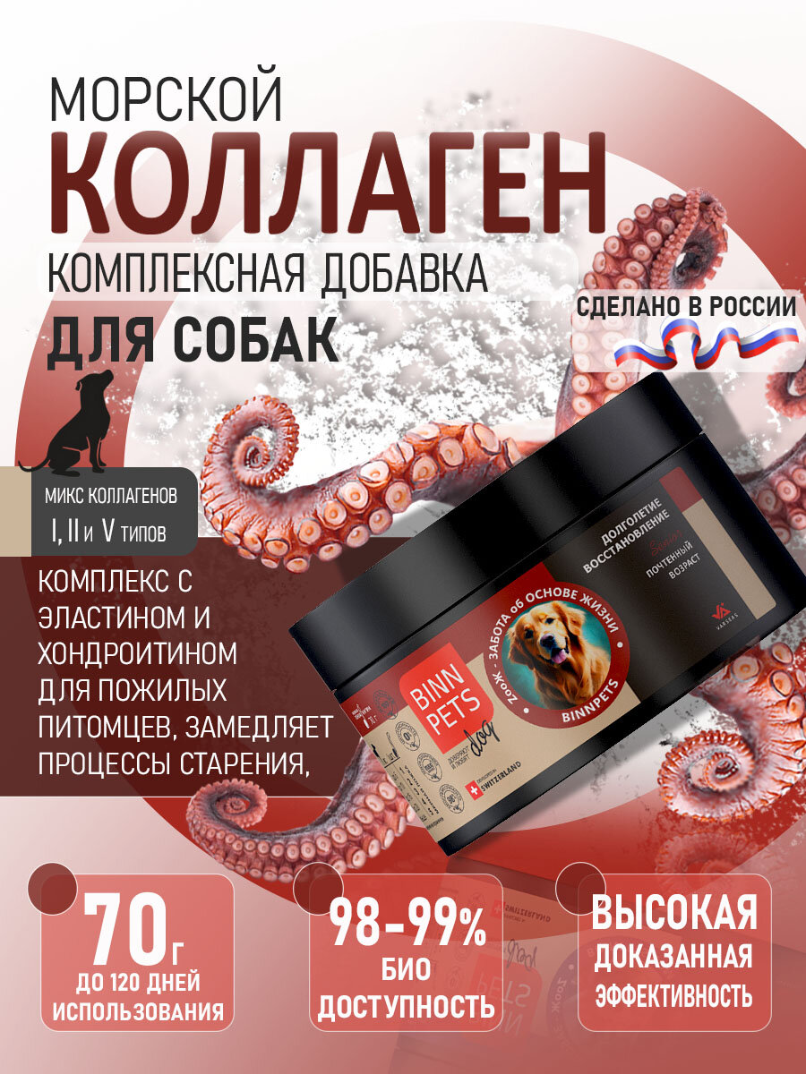 Кормовая добавка BINN PETS "Senior", для пожилых собак, витамины и коллаген для иммунной системы и здоровья, банка 70гр