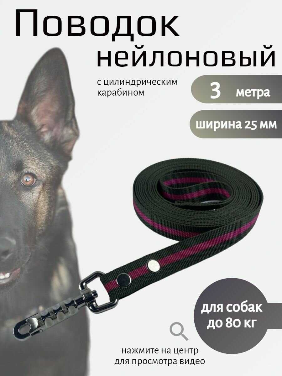 Поводок Хвостатыч для собак с цилиндрическим карабином нейлон 3 м х 25 мм (Зелено-красный)
