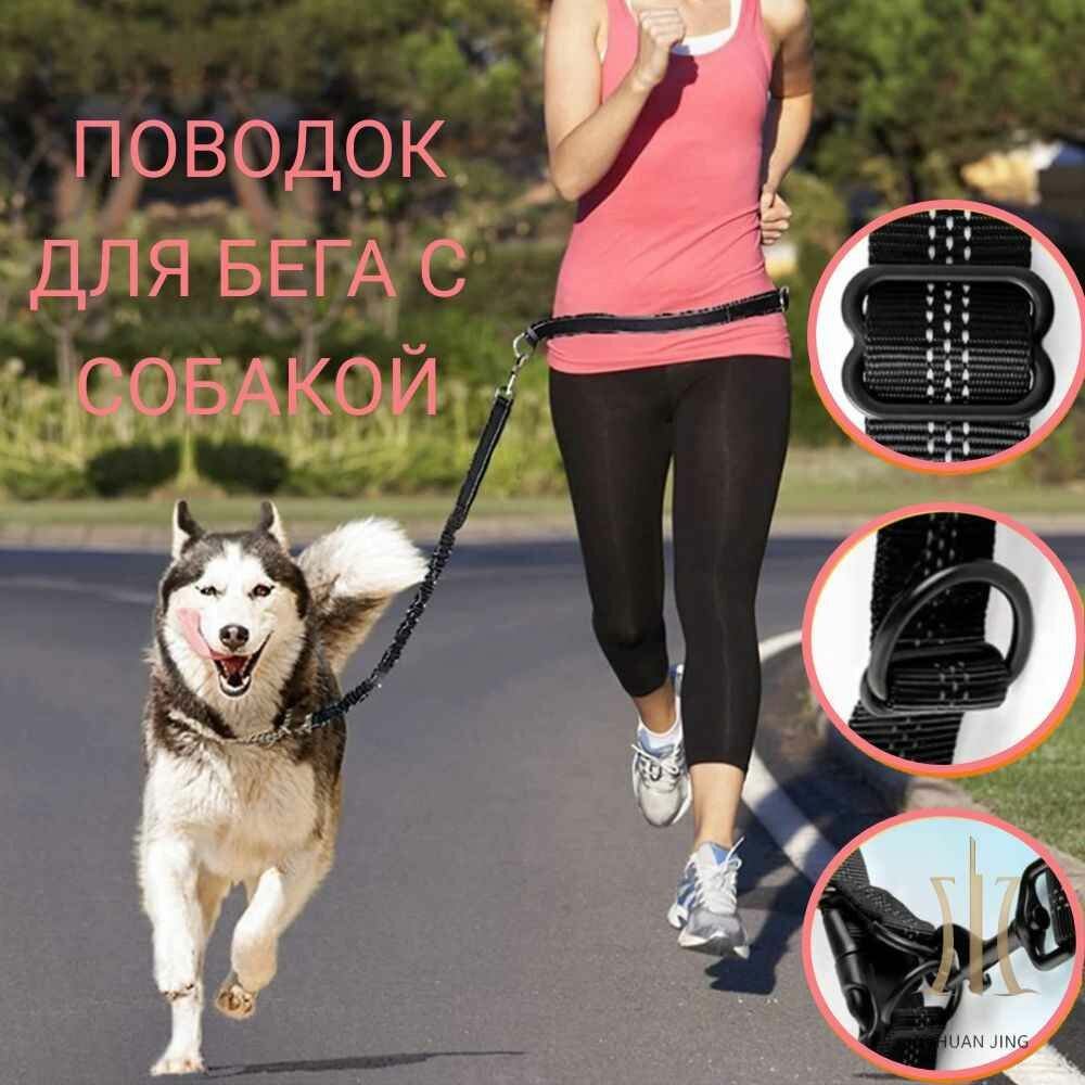 Поводок потяг для бега с собакой Noral