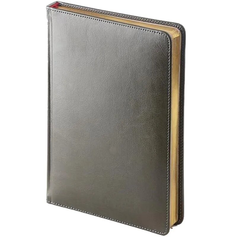 Ежедневник недатированный серый, А5,145х205мм,136л, Sidney NEBRASKA 3-128/09