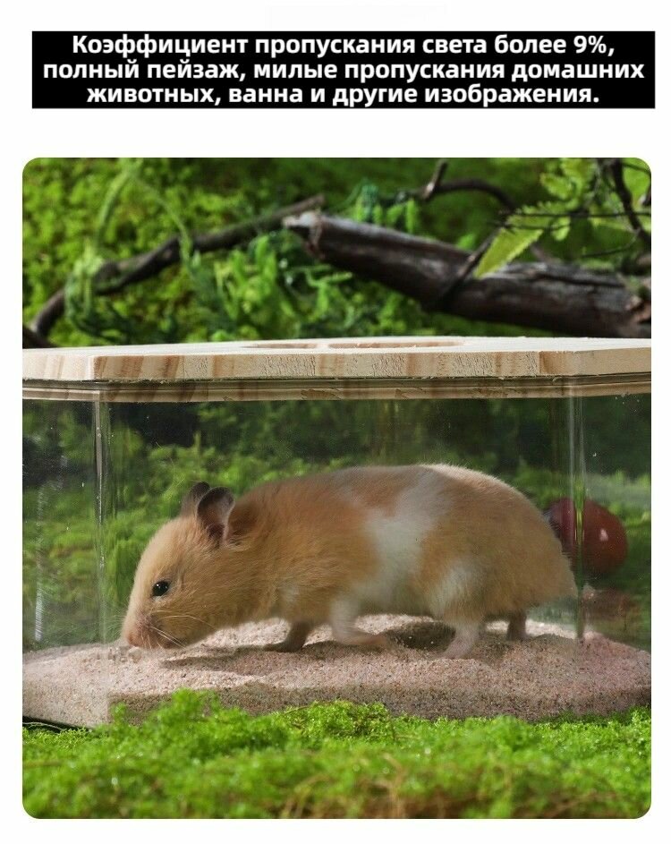 Ванночка для животных — фото 1