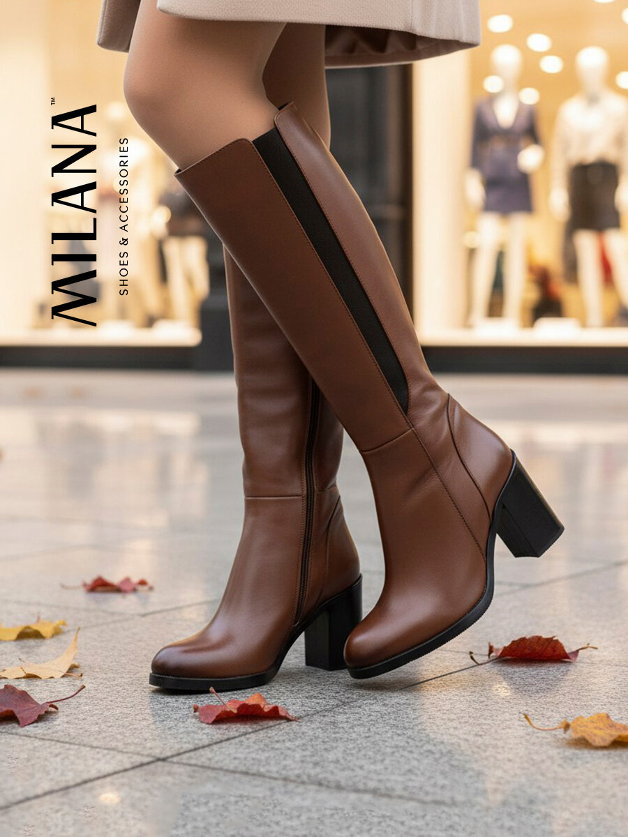 Сапоги Базовая Осень-Зима