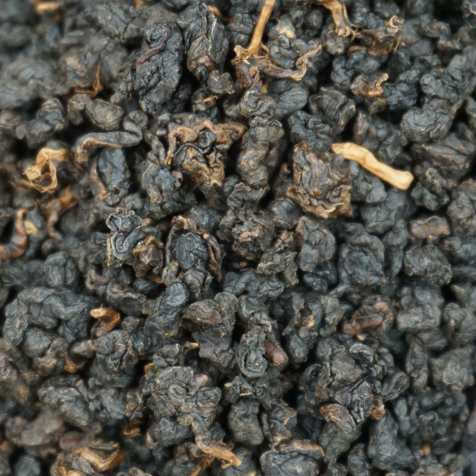 Габа Сы Цзи Чунь