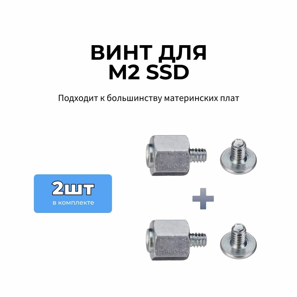 Винт со стойкой для крепления SSD M.2 2шт.