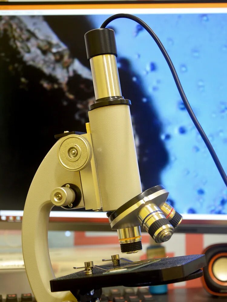 Оптический микроскоп XSP02DM, увеличение 2000x, с USB-окуляром, металлический корпус, регулируемый угол наклона, подходит для детского просвещения и наблюдения за лабораторными ячейками студентов