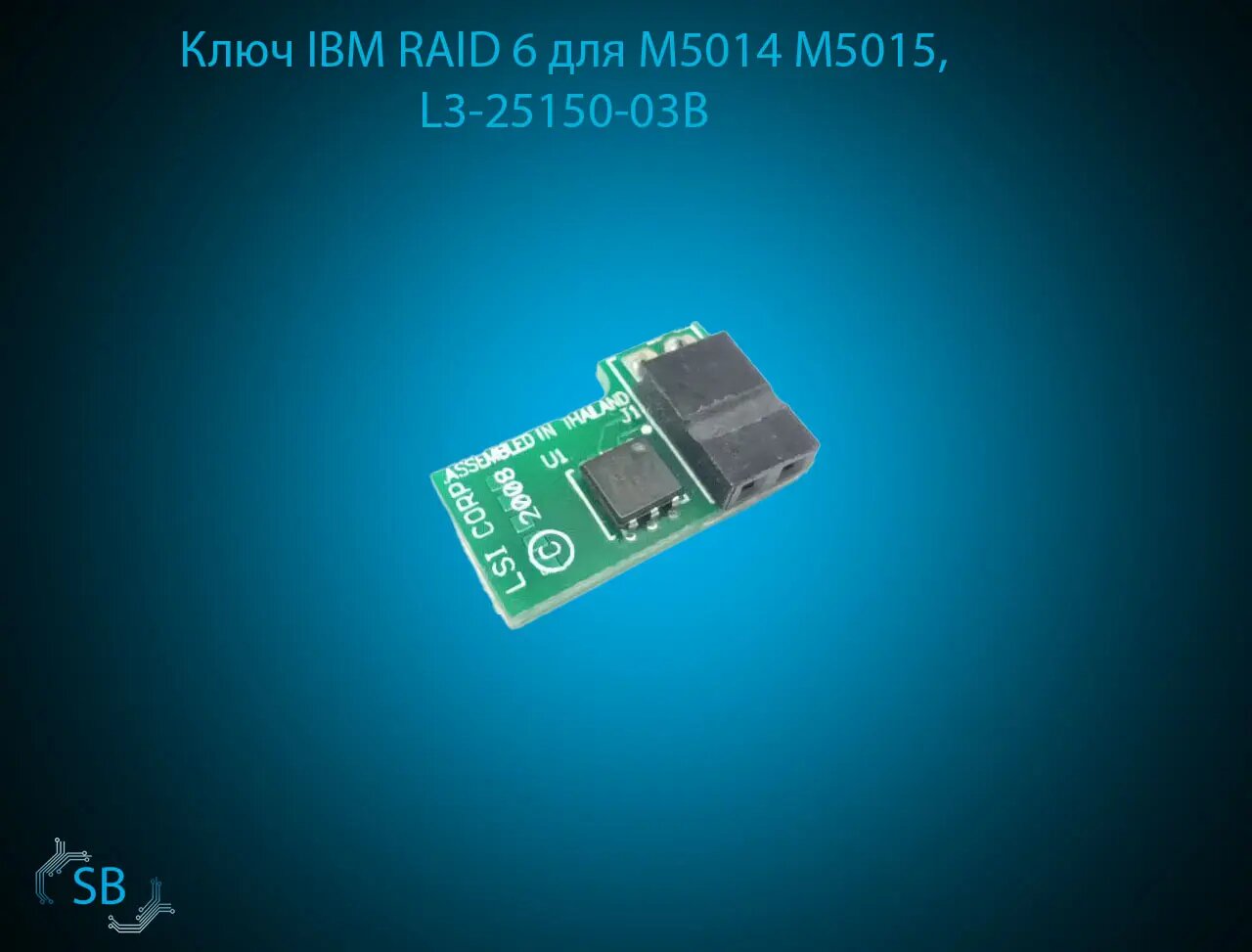 Ключ RAID 6 IBM ServeRAID M5000 Series 46M0930 46M0931