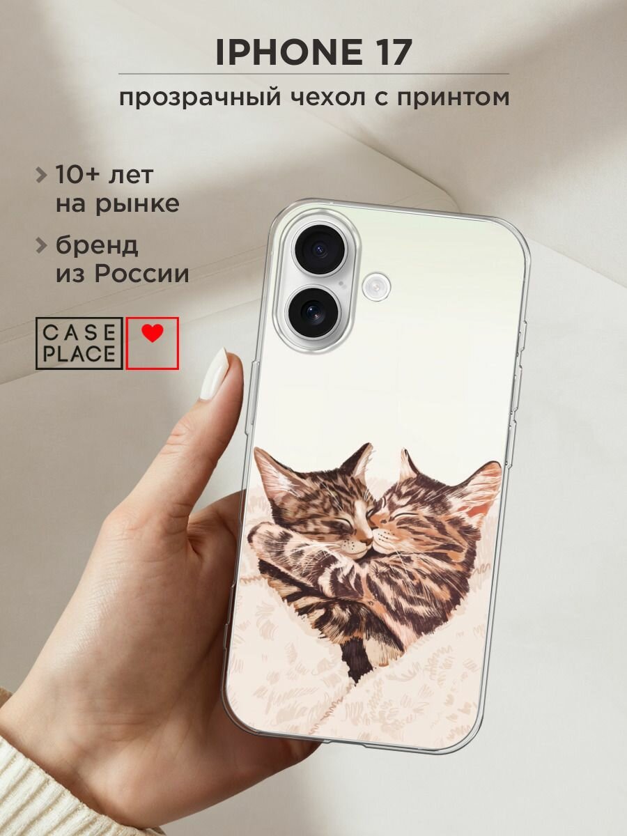 Чехол на Apple iPhone 17 / Айфон 17 с принтом "Влюбленные котейки - 14 февраля"