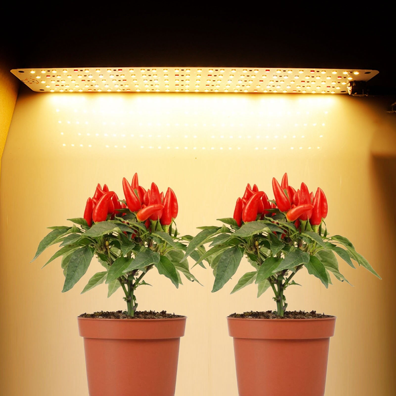 Grow Light 12V Многофункциональная 6 уровней яркости светодиодная панель Grow Light для офиса и дома EU Plug