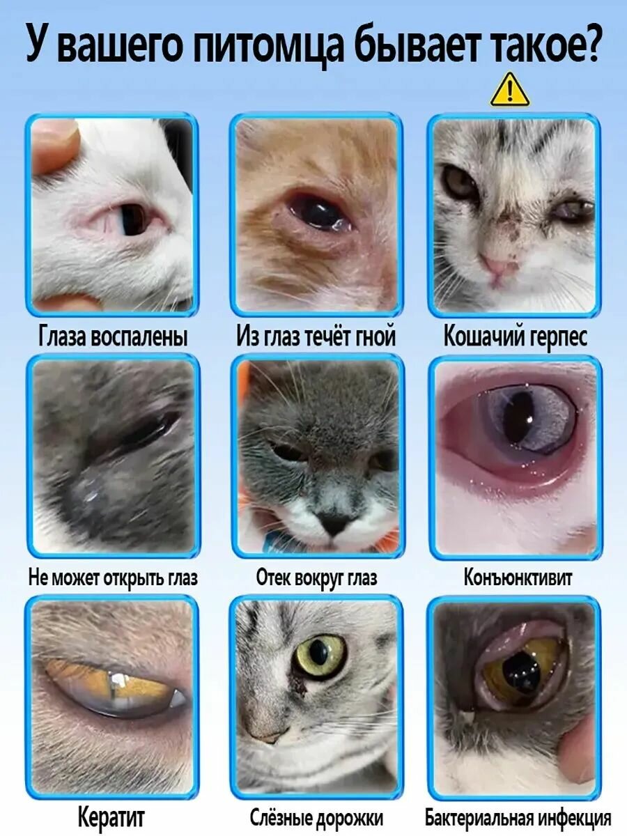 Лосьон для глаз кошек и собак 20 мл