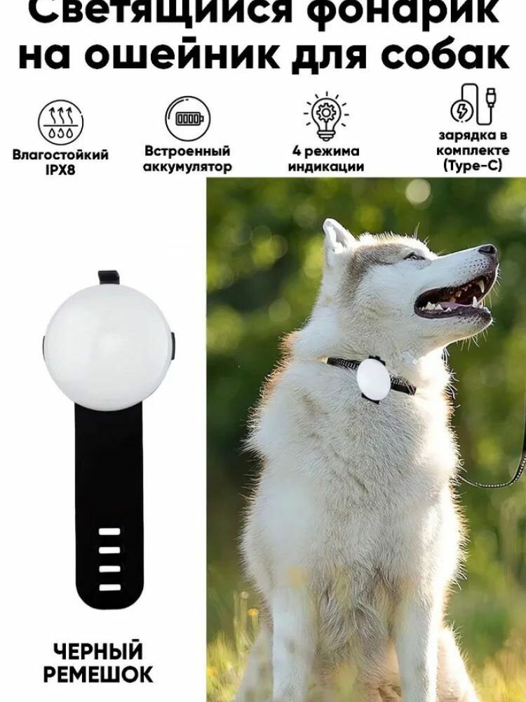 Фонарик на ошейник для собак / Светящийся брелок, маячок на ошейник