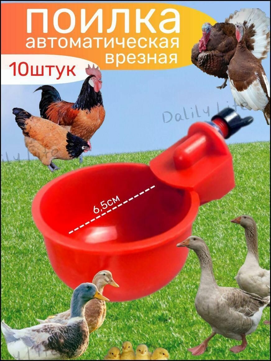 Поилка для кур чашечная 10 штук